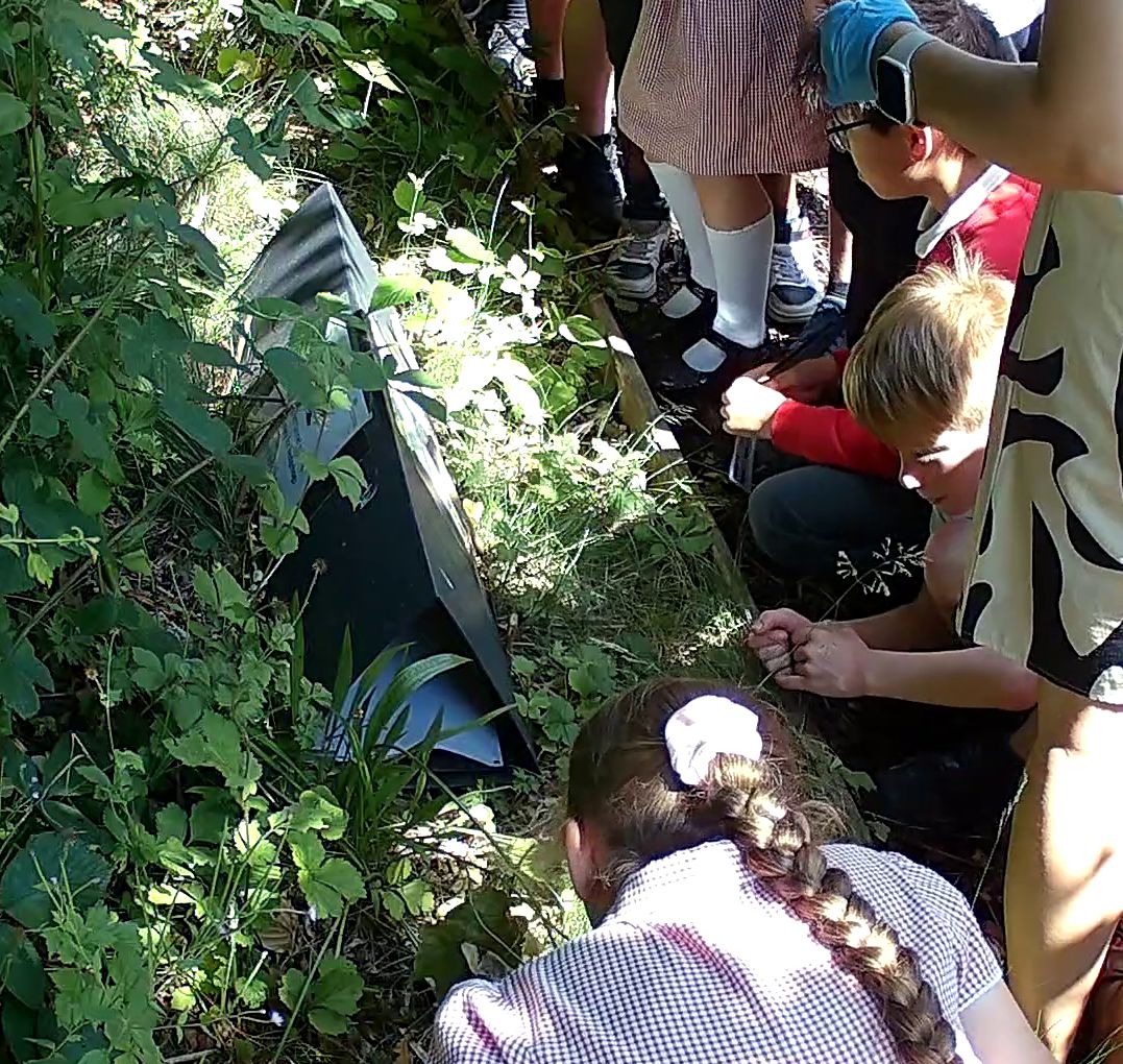 3Z take charge of the Hedgehog Tunnel | 3Z Allerton CE Primary, Leeds